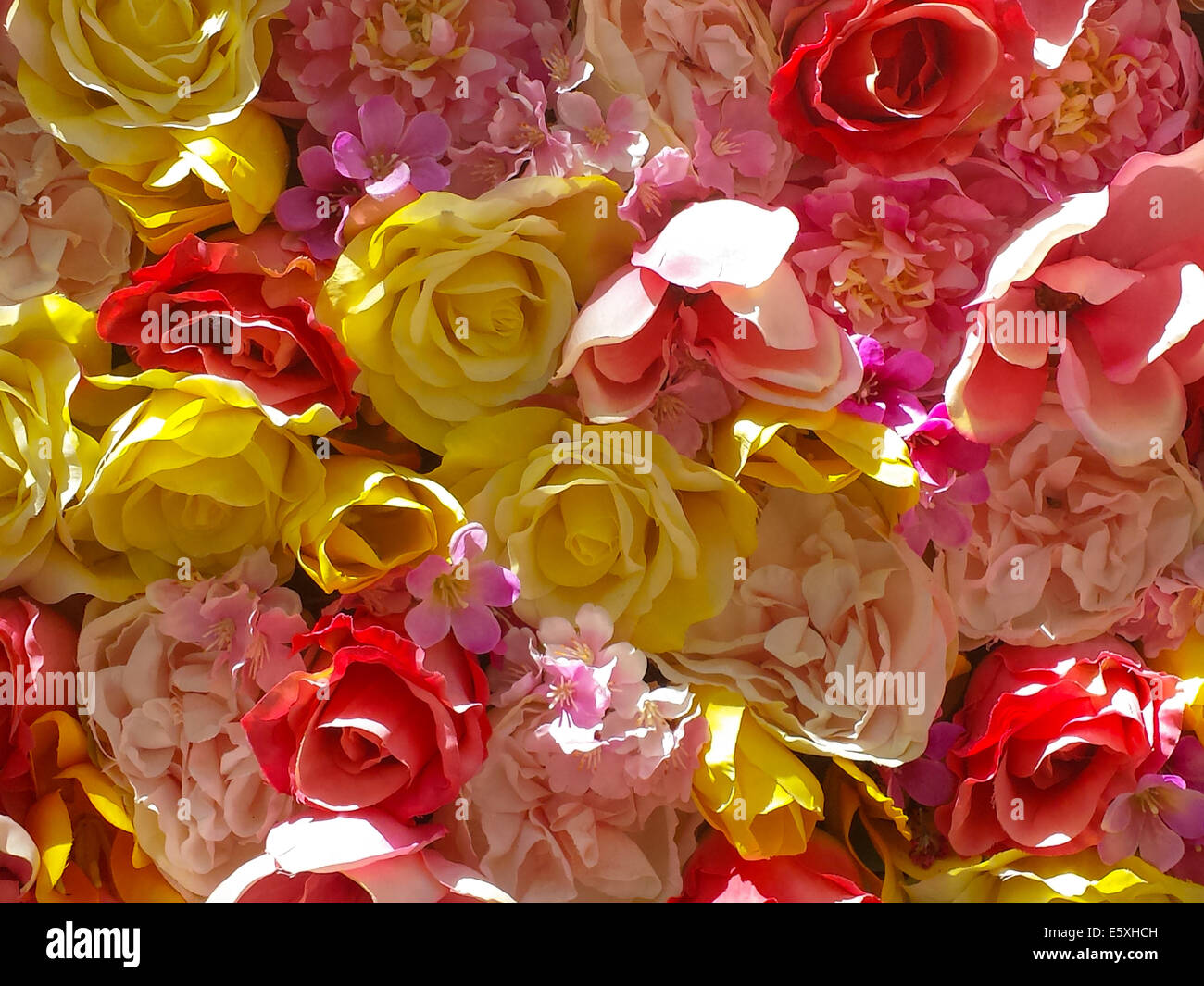 Based background hi-res stock photography and images - Alamy