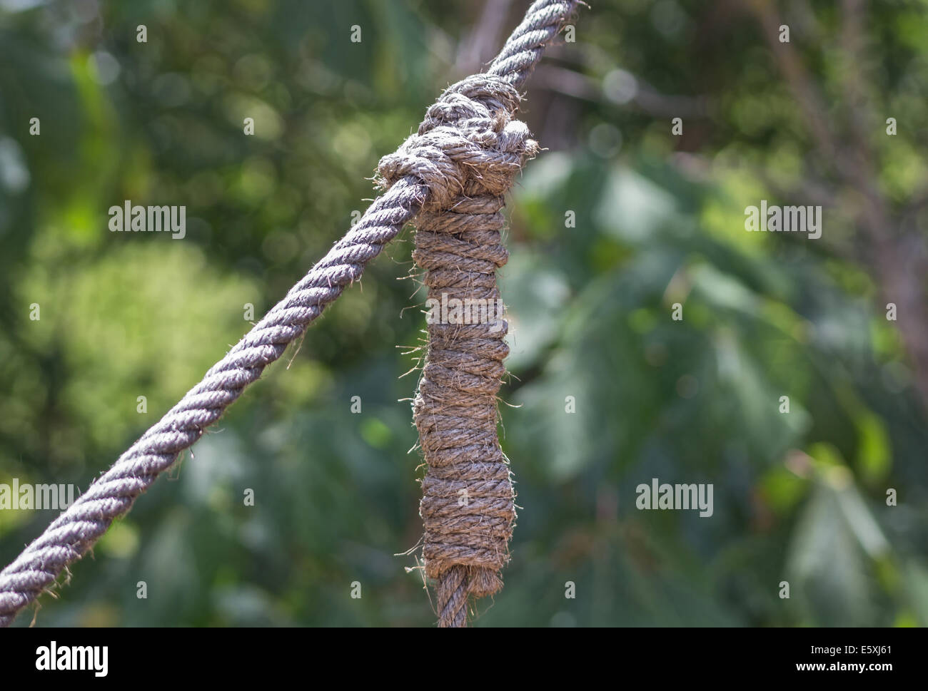 knots in a thick rope Stock Photo - Alamy