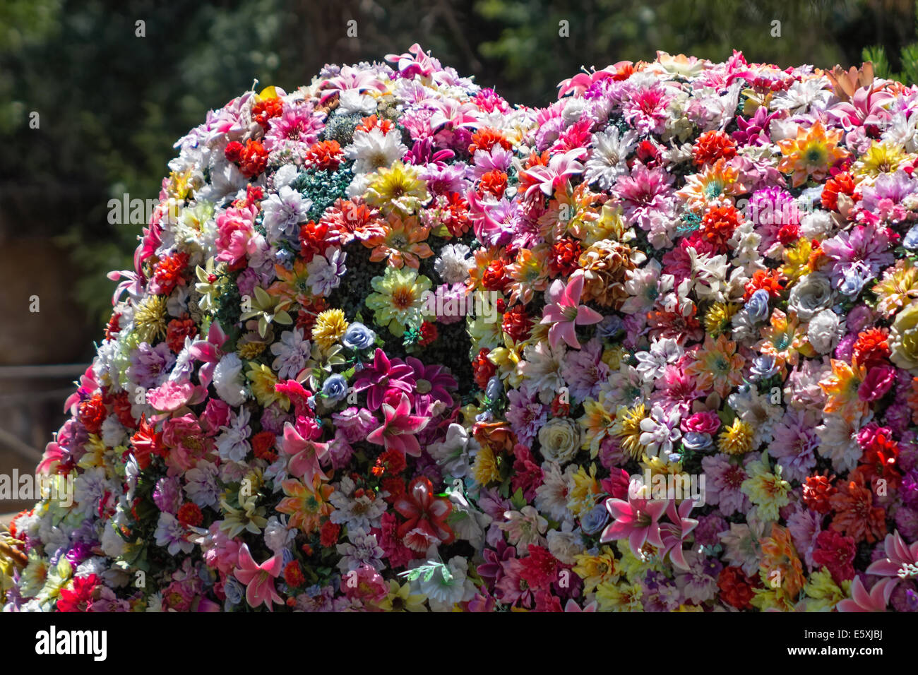 Full bloom beauty hi-res stock photography and images - Alamy