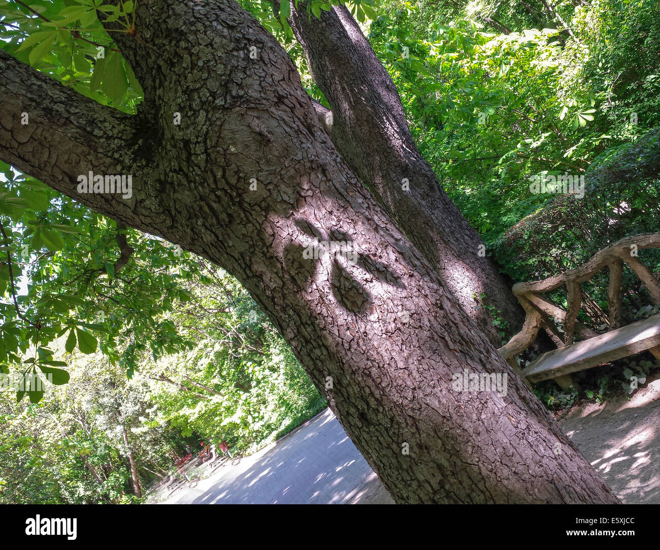 Leftover leaf hi-res stock photography and images - Alamy