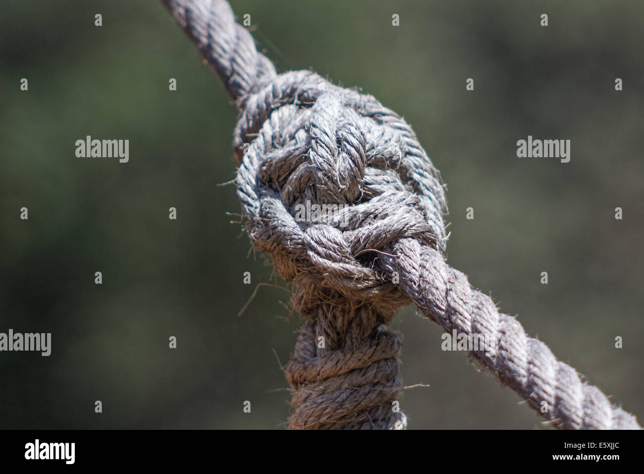 knots in a thick rope Stock Photo - Alamy