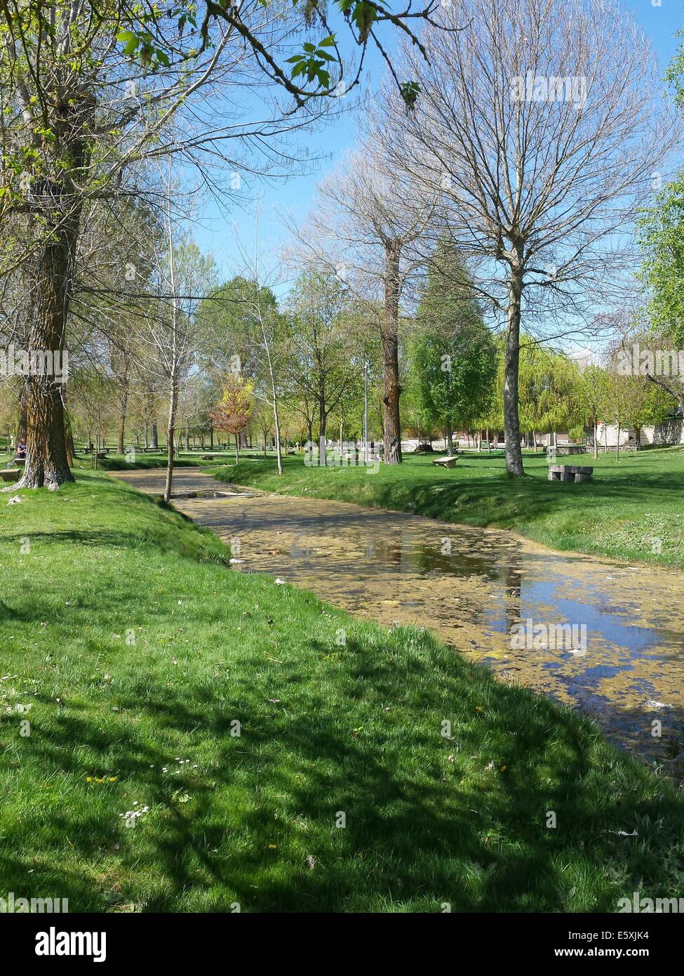 green meadow with trees and a creek one day in sun Stock Photo - Alamy