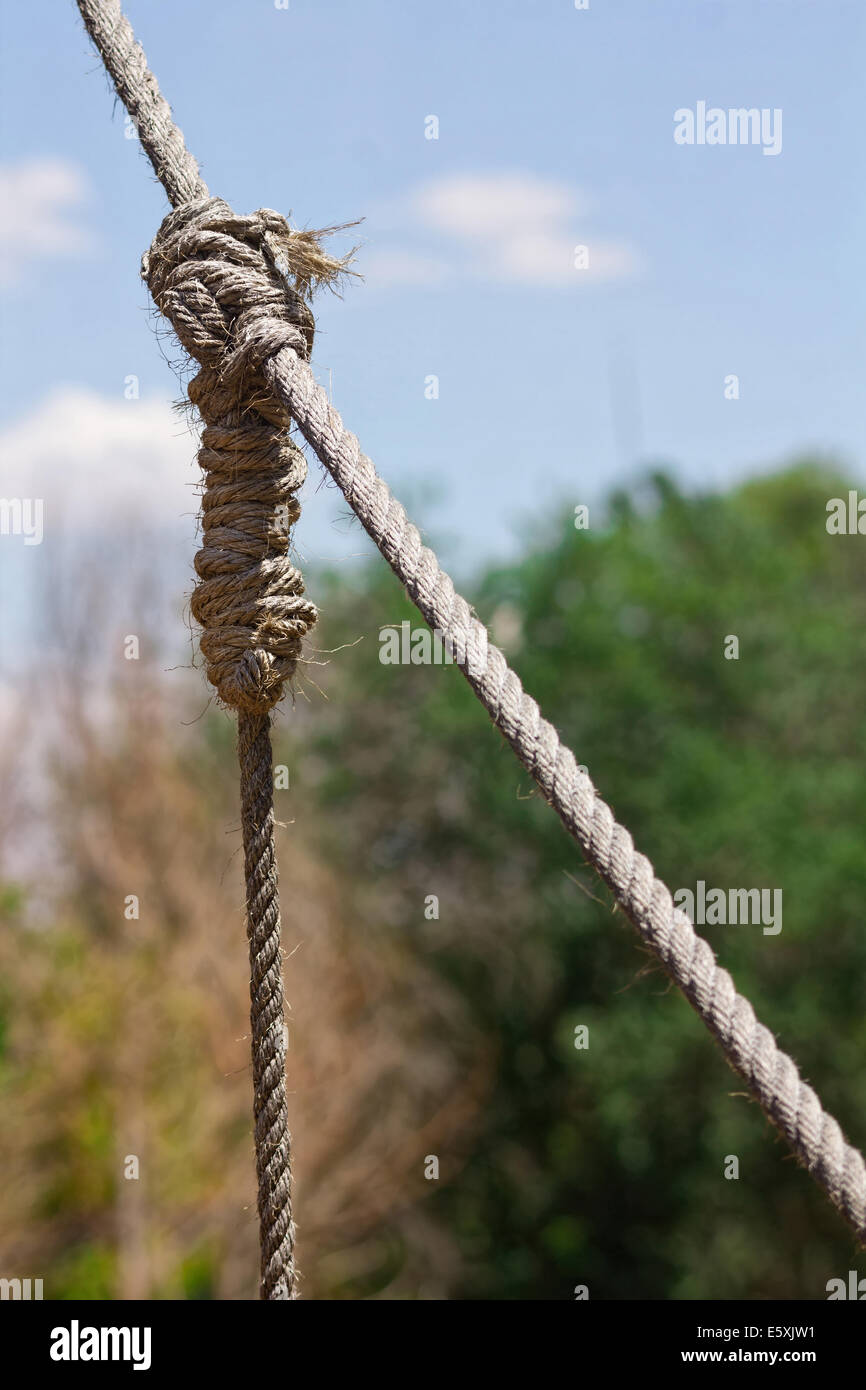 knots in a thick rope Stock Photo - Alamy