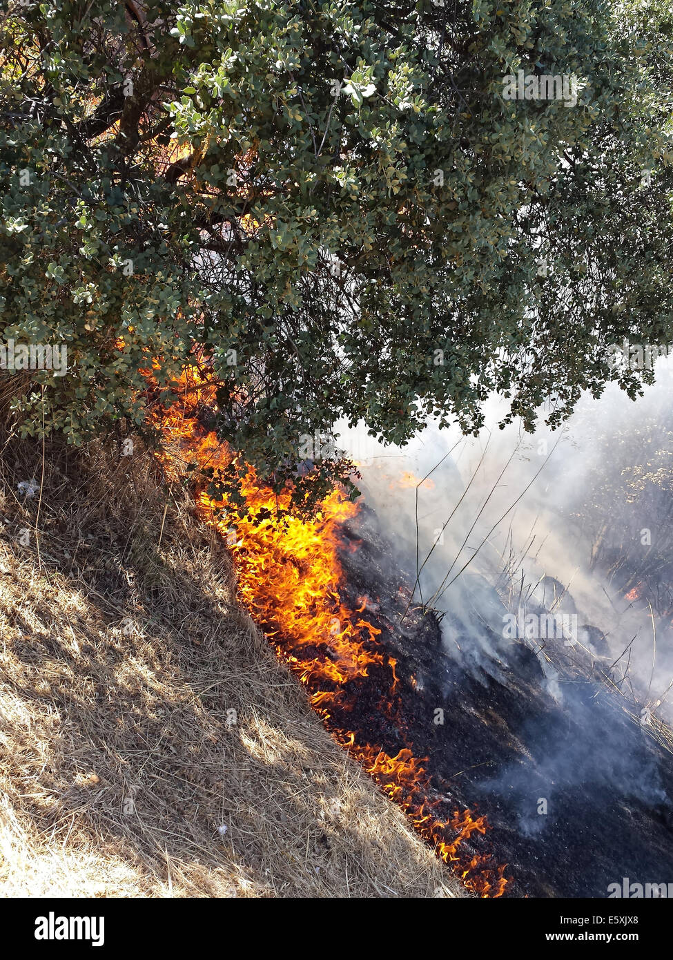 Summer fire danger hi-res stock photography and images - Alamy