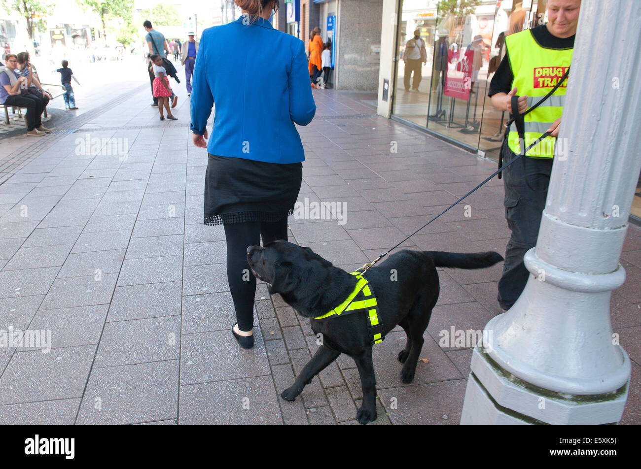 Drug detection dogs hi-res stock photography and images - Alamy