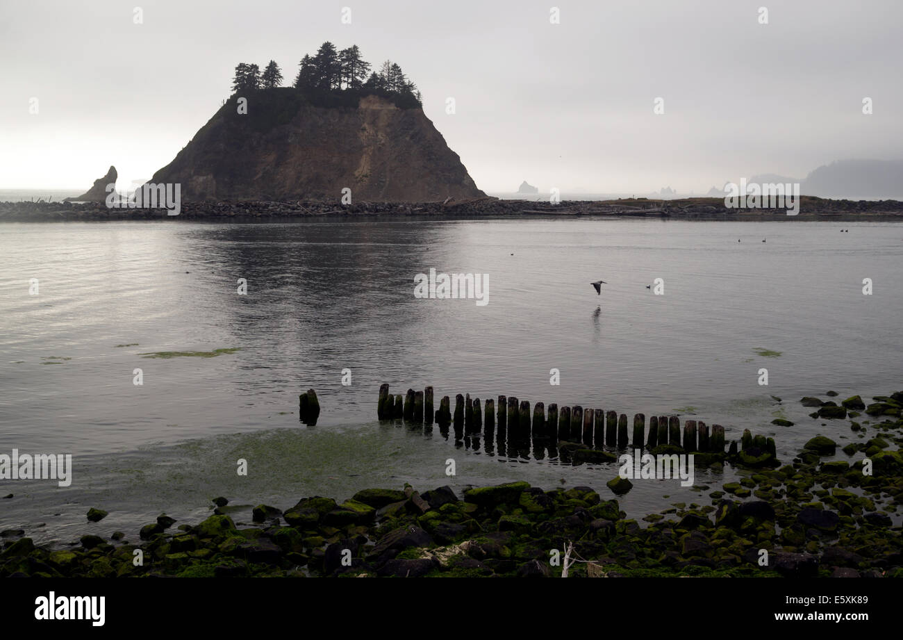 Boats Sea Bluffs Pacific Ocean Marina Pacific Ocean West Coast Stock ...