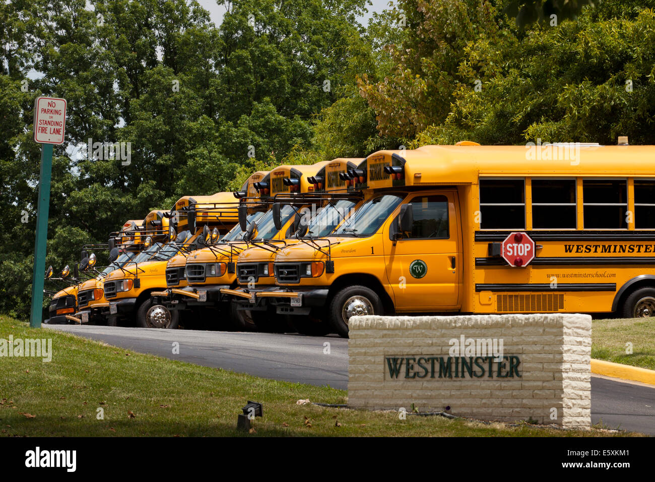 Parked school buses - USA Stock Photo - Alamy
