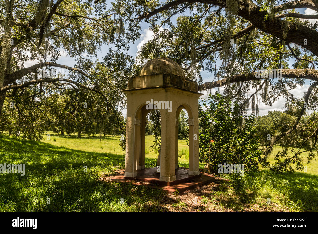 Stone under tree hi-res stock photography and images - Alamy