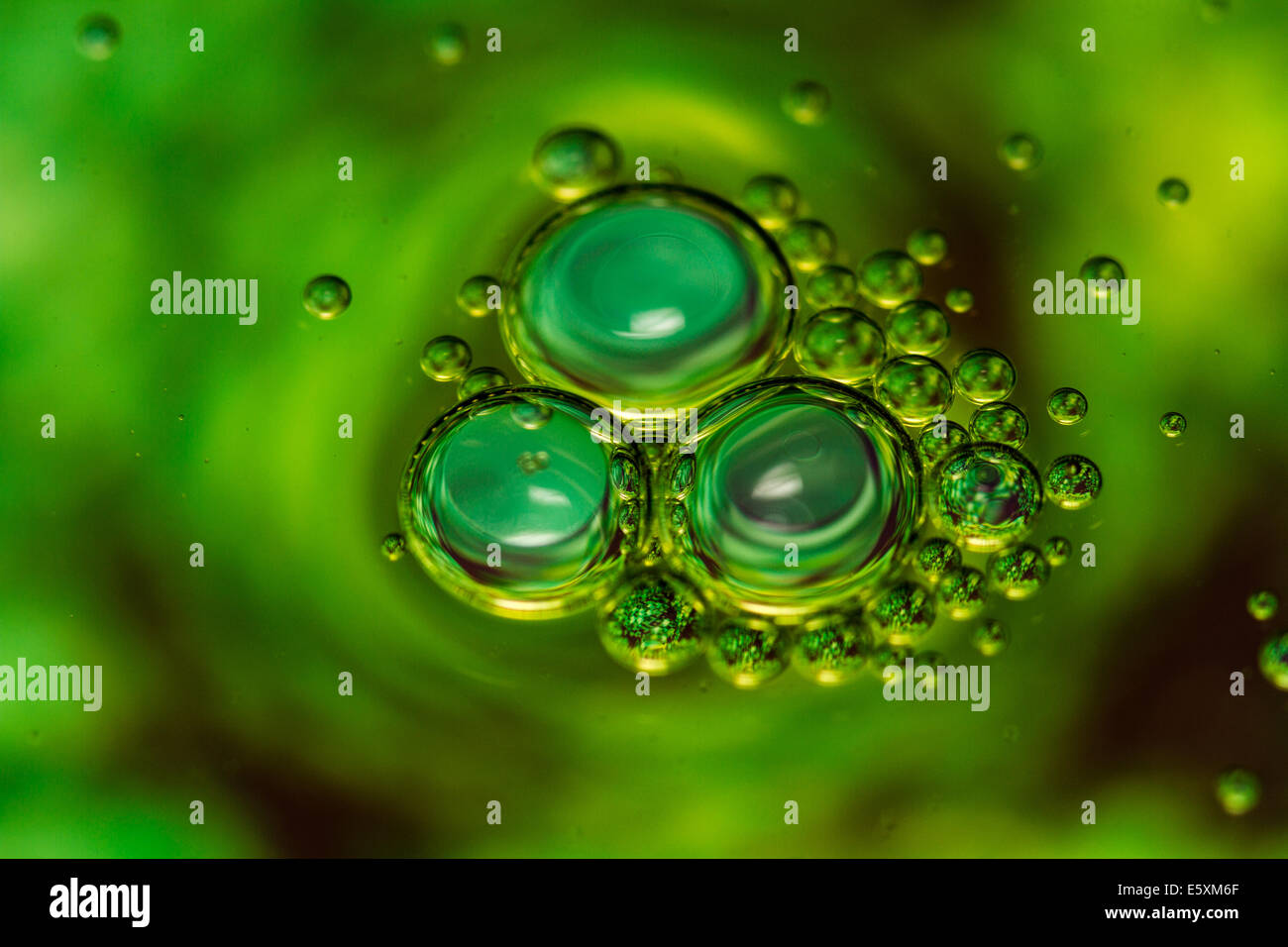 Green Bubbles Stock Photos & Green Bubbles Stock Images - Alamy