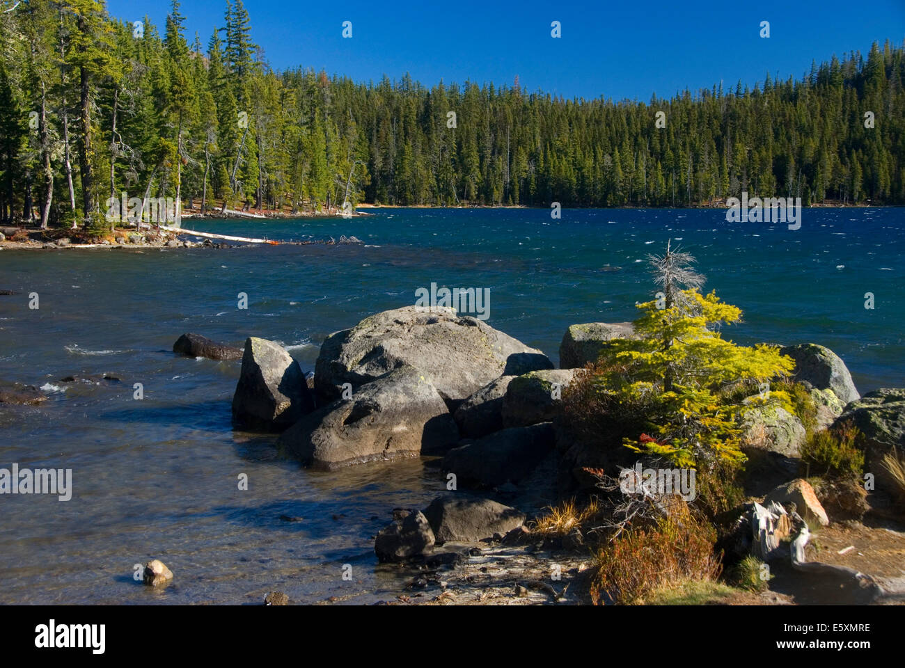 Charlton Lake, Deschutes National Forest, Oregon Stock Photo - Alamy