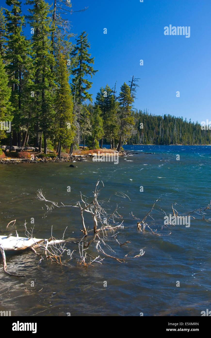 Charlton Lake, Deschutes National Forest, Oregon Stock Photo - Alamy
