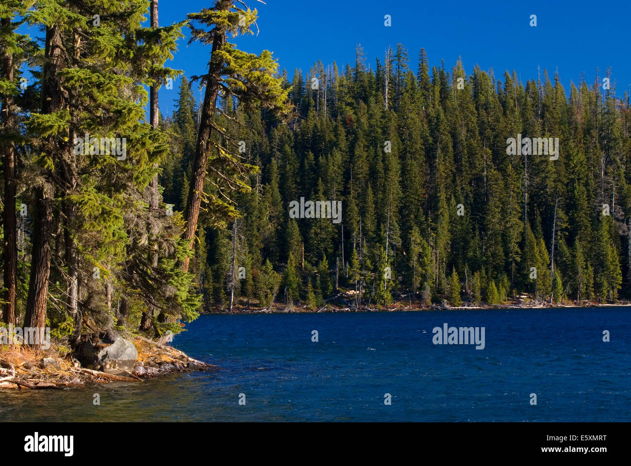 Charlton Lake, Deschutes National Forest, Oregon Stock Photo - Alamy