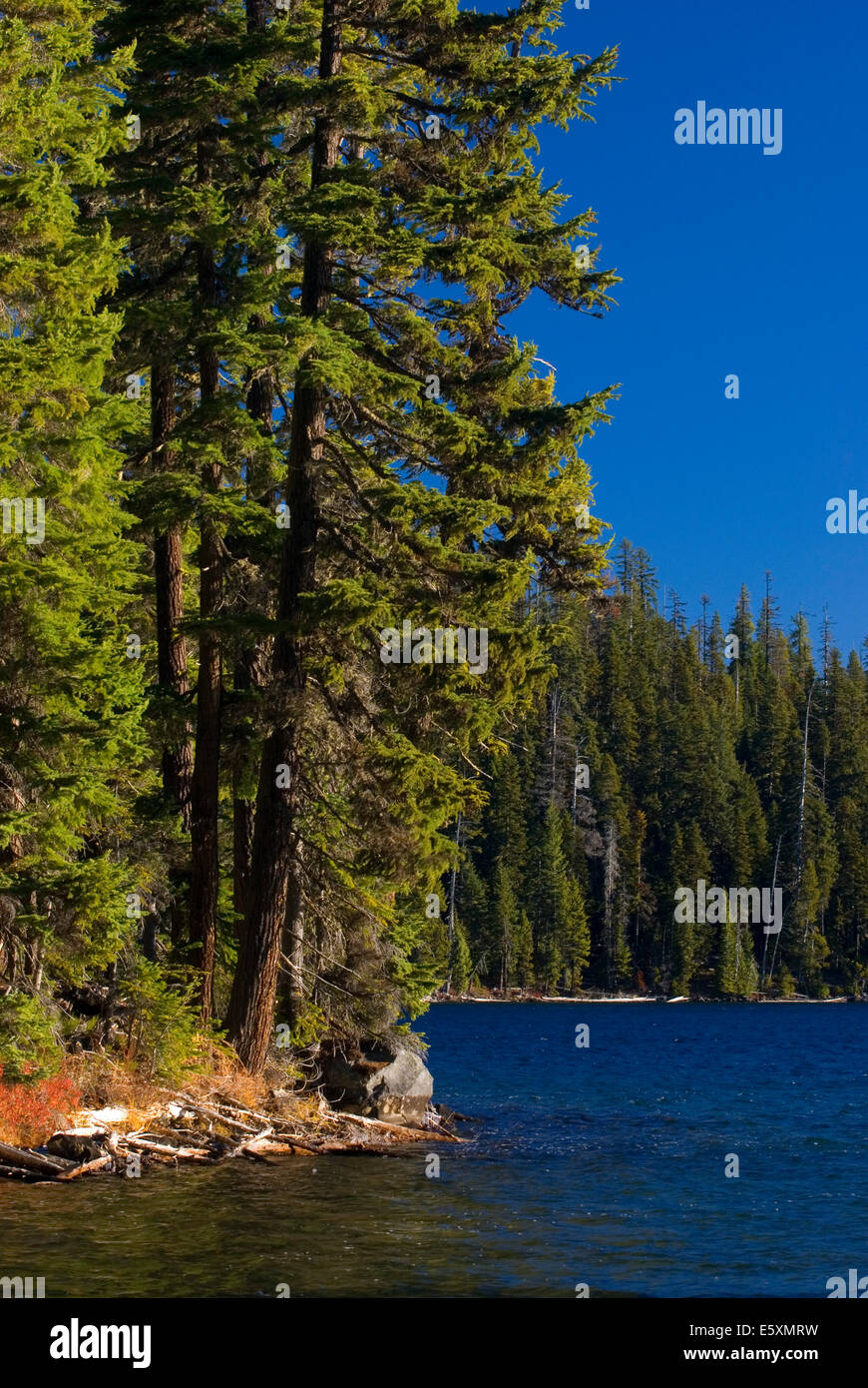 Charlton Lake, Deschutes National Forest, Oregon Stock Photo - Alamy