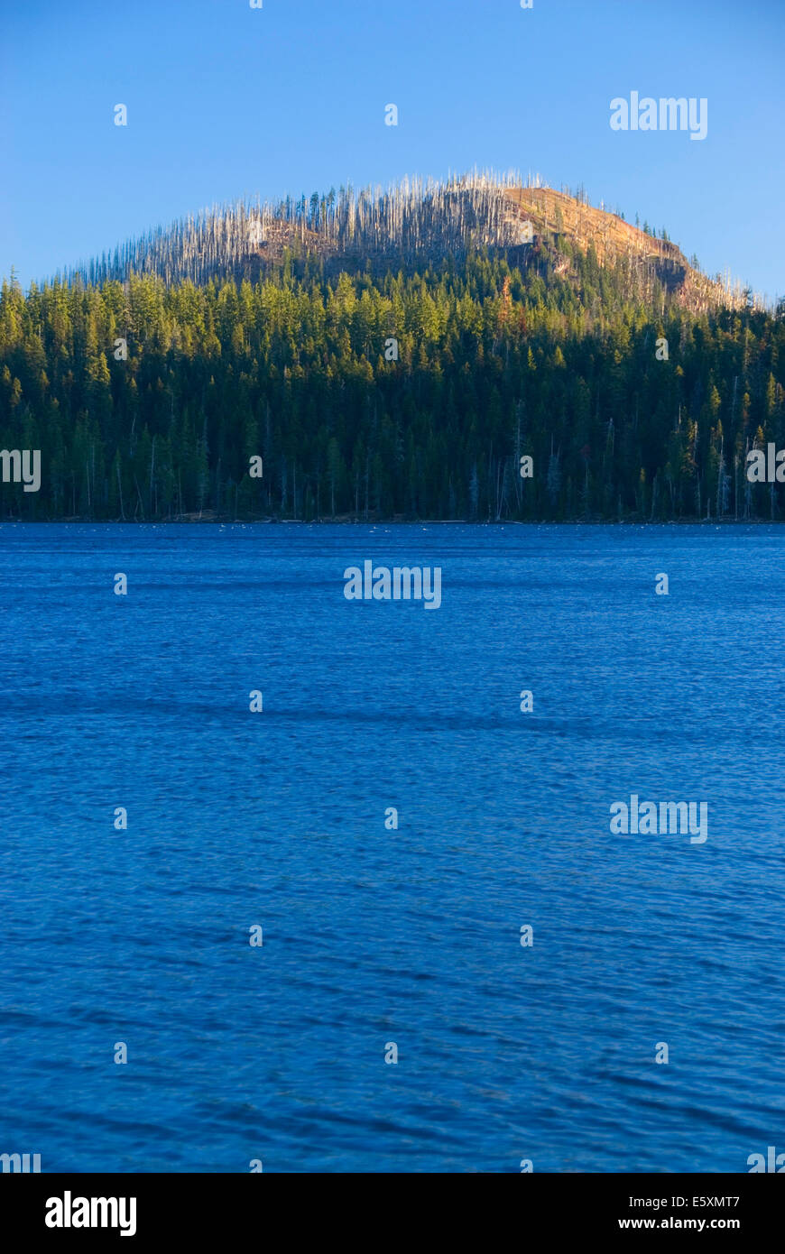Charlton Lake with Charlton Butte, Deschutes National Forest, Oregon ...