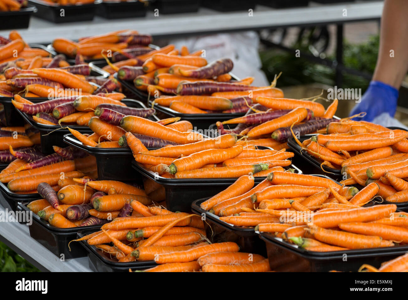 Produce at St Paul Farmers Market, St Paul, Minnesota, USA Stock Photo ...