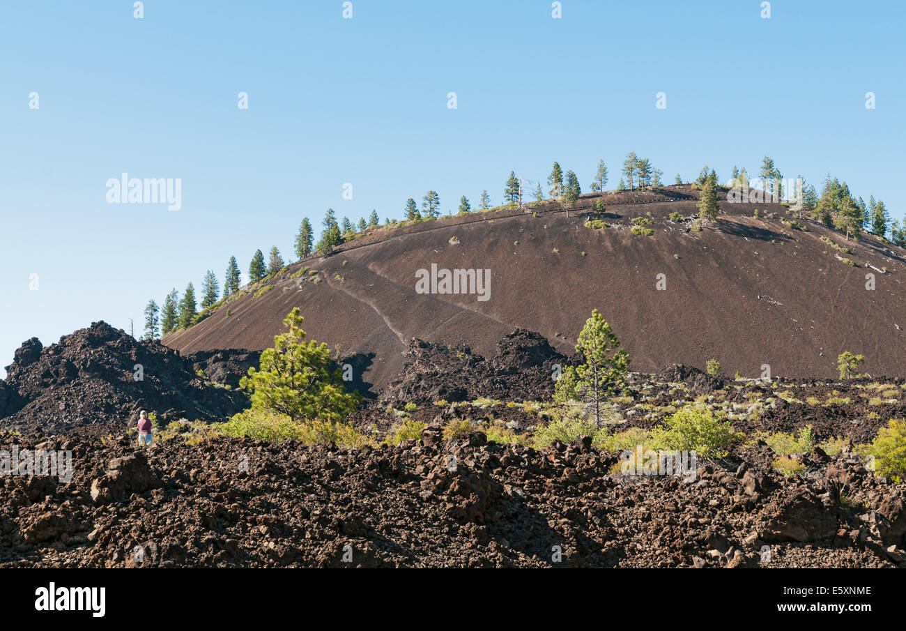 Oregon, Newberry National Volcanic Monument, Lava Butte, Trail of the ...