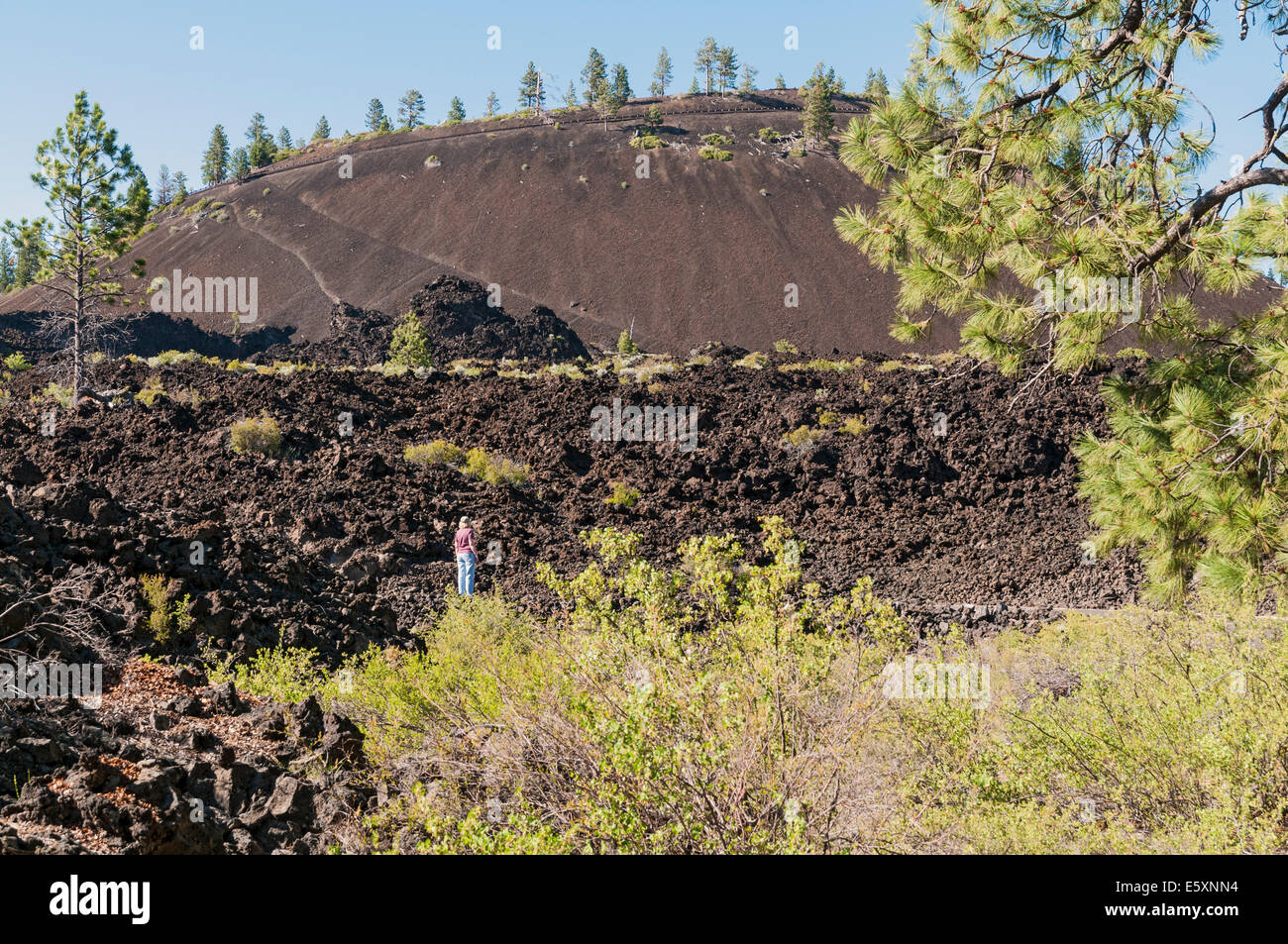 Oregon, Newberry National Volcanic Monument, Lava Butte, Trail of the ...