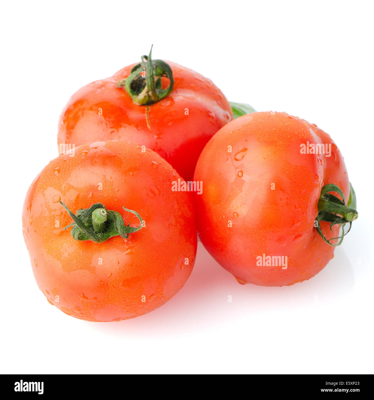 Red ripe tomato vine isolated on white background Stock Photo - Alamy