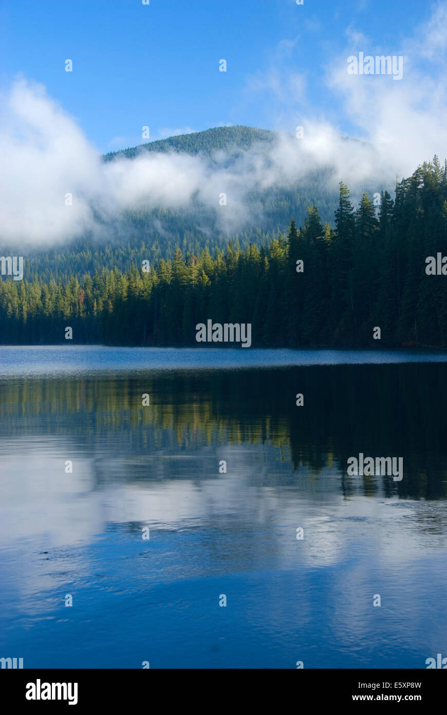 Odell Lake, Deschutes National Forest, Oregon Stock Photo - Alamy
