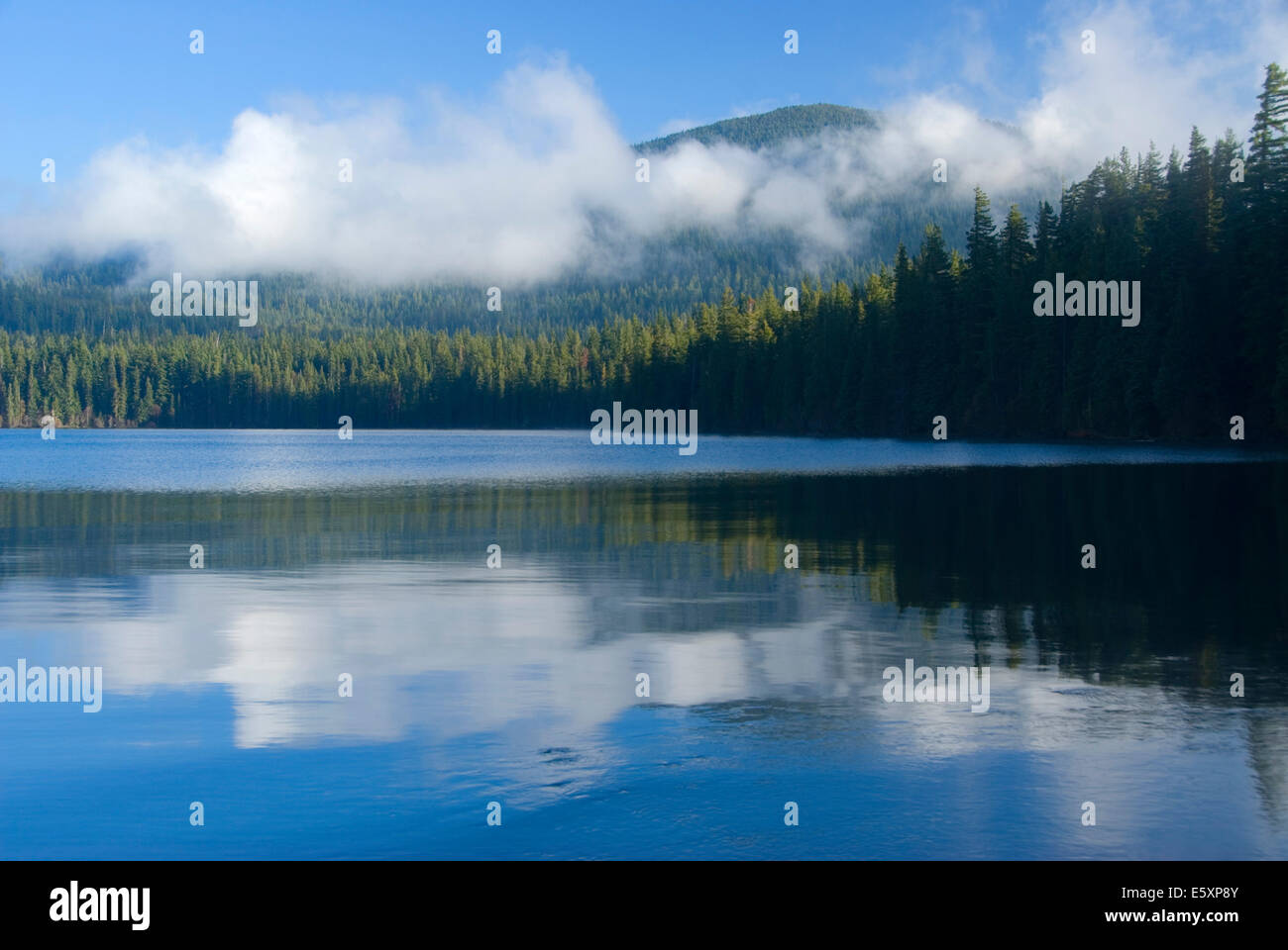 Odell Lake, Deschutes National Forest, Oregon Stock Photo - Alamy