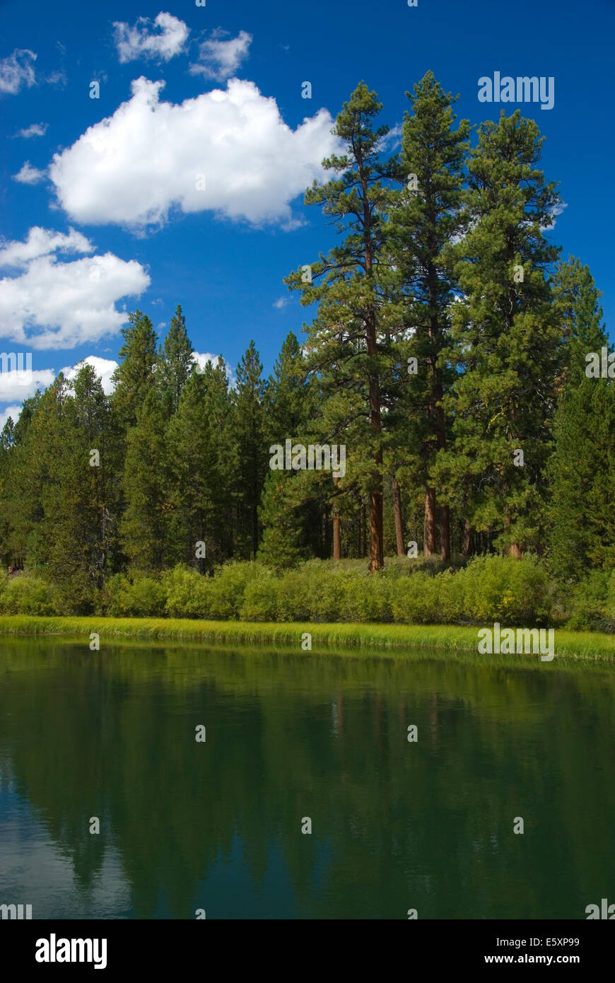 Deschutes Wild and Scenic River, Deschutes National Forest, Oregon ...