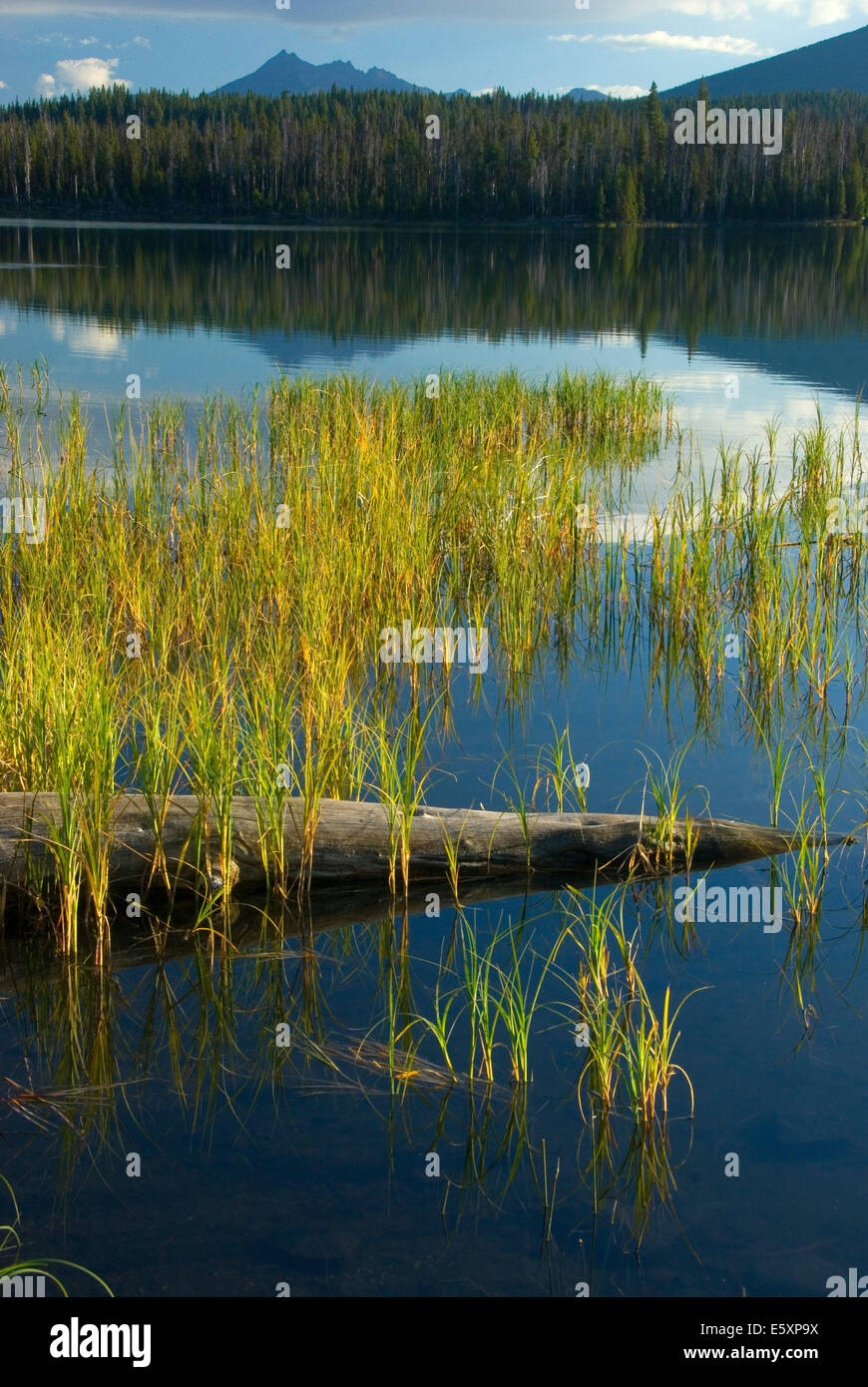 Little Lava Lake, Cascade Lakes National Scenic Byway, Deschutes ...