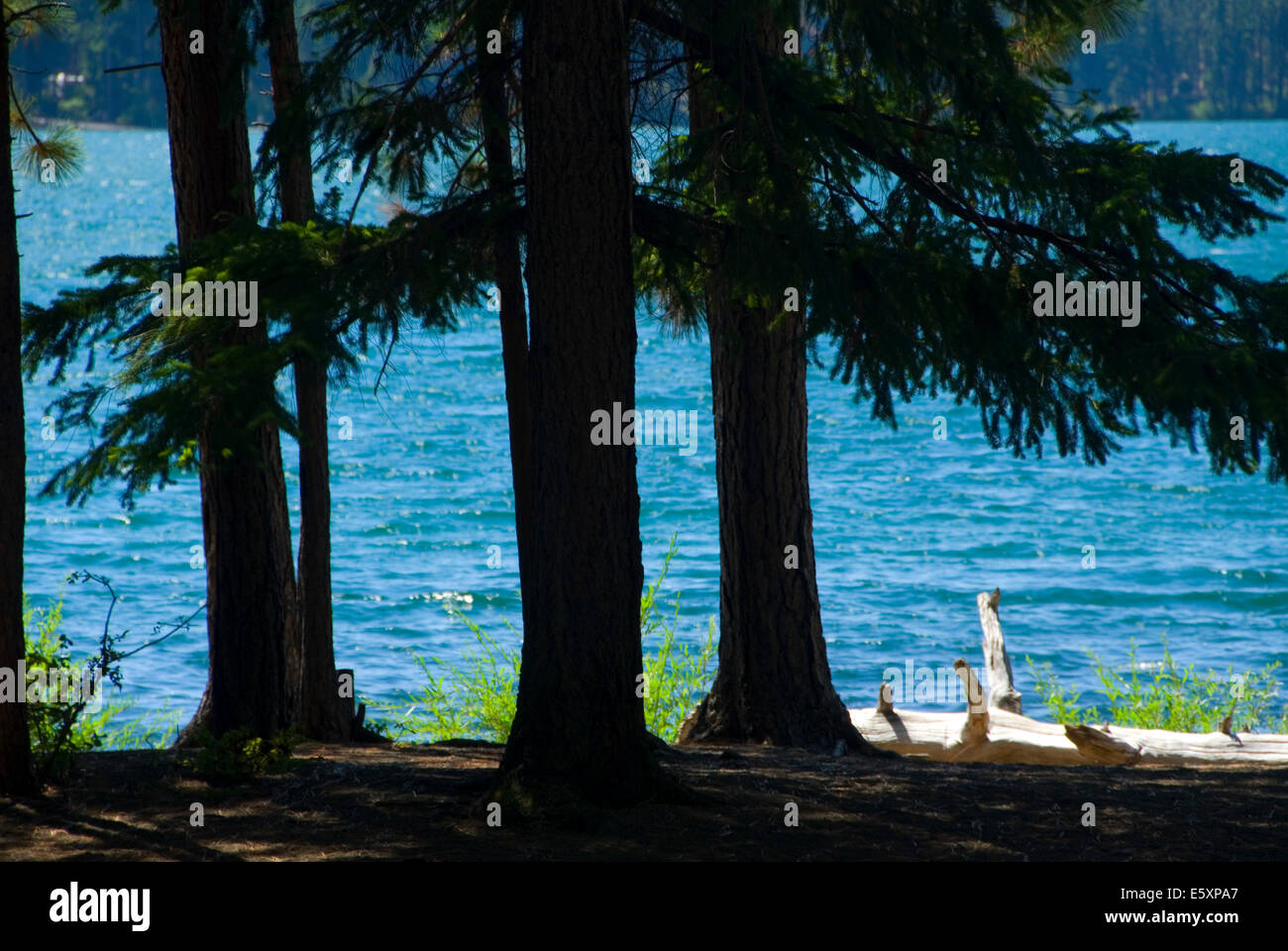Suttle Lake, Deschutes National Forest, Oregon Stock Photo - Alamy