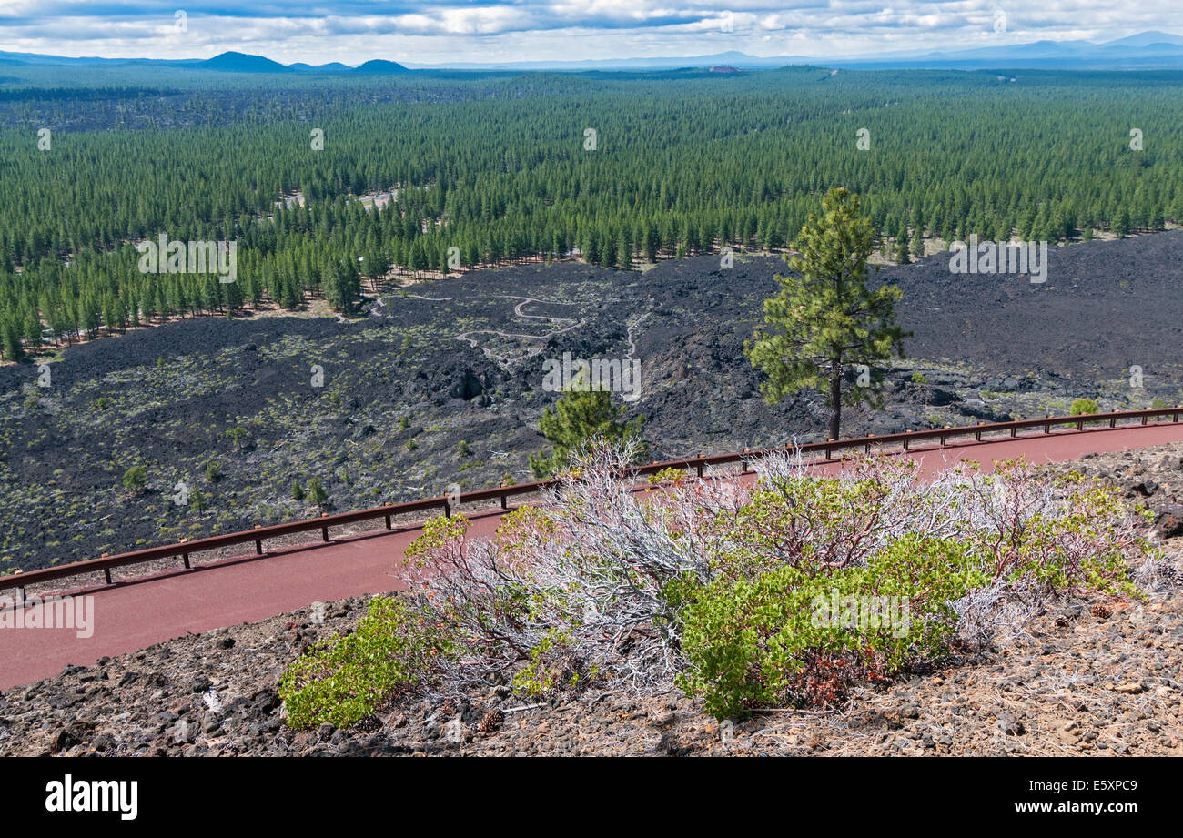 Oregon, Newberry National Volcanic Monument, Lava Butte, summit road ...