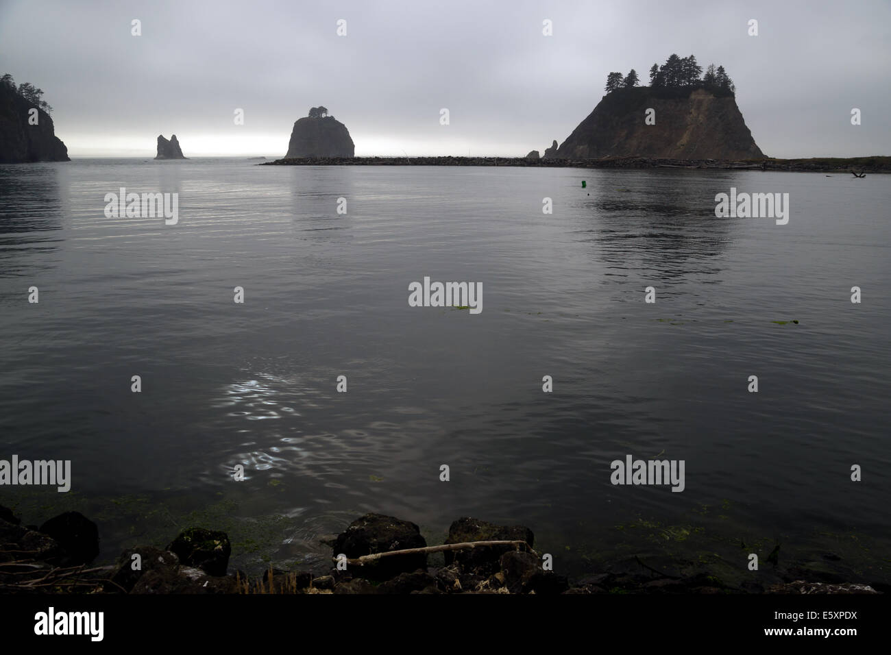 Boats Sea Bluffs Pacific Ocean Marina Pacific Ocean West Coast Stock ...
