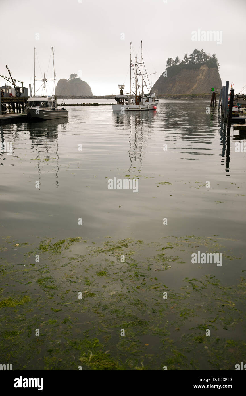Boats Sea Bluffs Pacific Ocean Marina Pacific Ocean West Coast Stock ...
