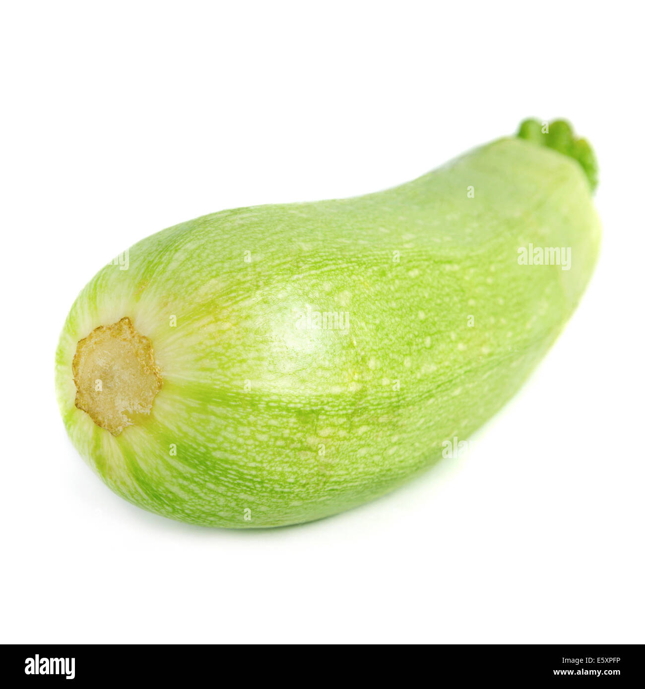 Zucchini vegetable closeup isolated on white Stock Photo - Alamy