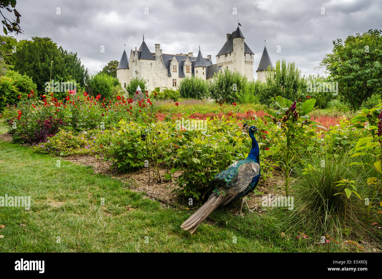 FRANCE CASTLE OF RIVAU AUG 2013: view of park of the castle of Rivau on ...