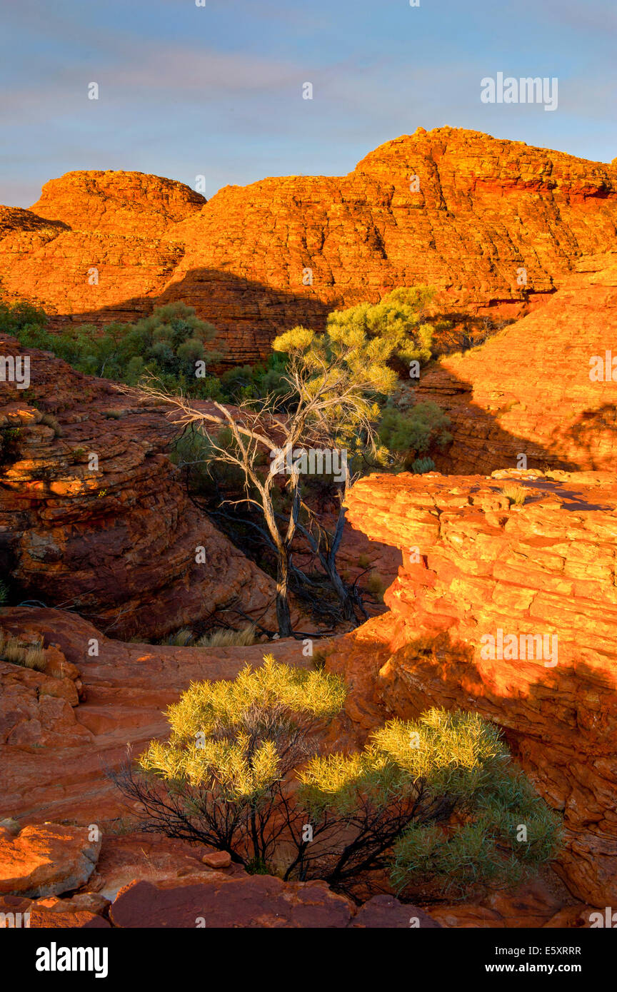 Kings Canyon, Northern Territory, Australia Stock Photo - Alamy