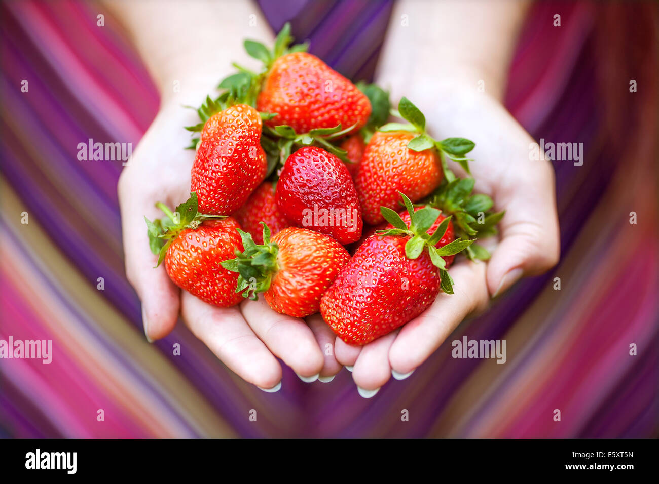 Strawberry in hands Stock Photo - Alamy