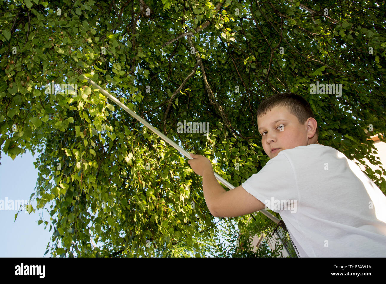 Long secateurs hi-res stock photography and images - Alamy