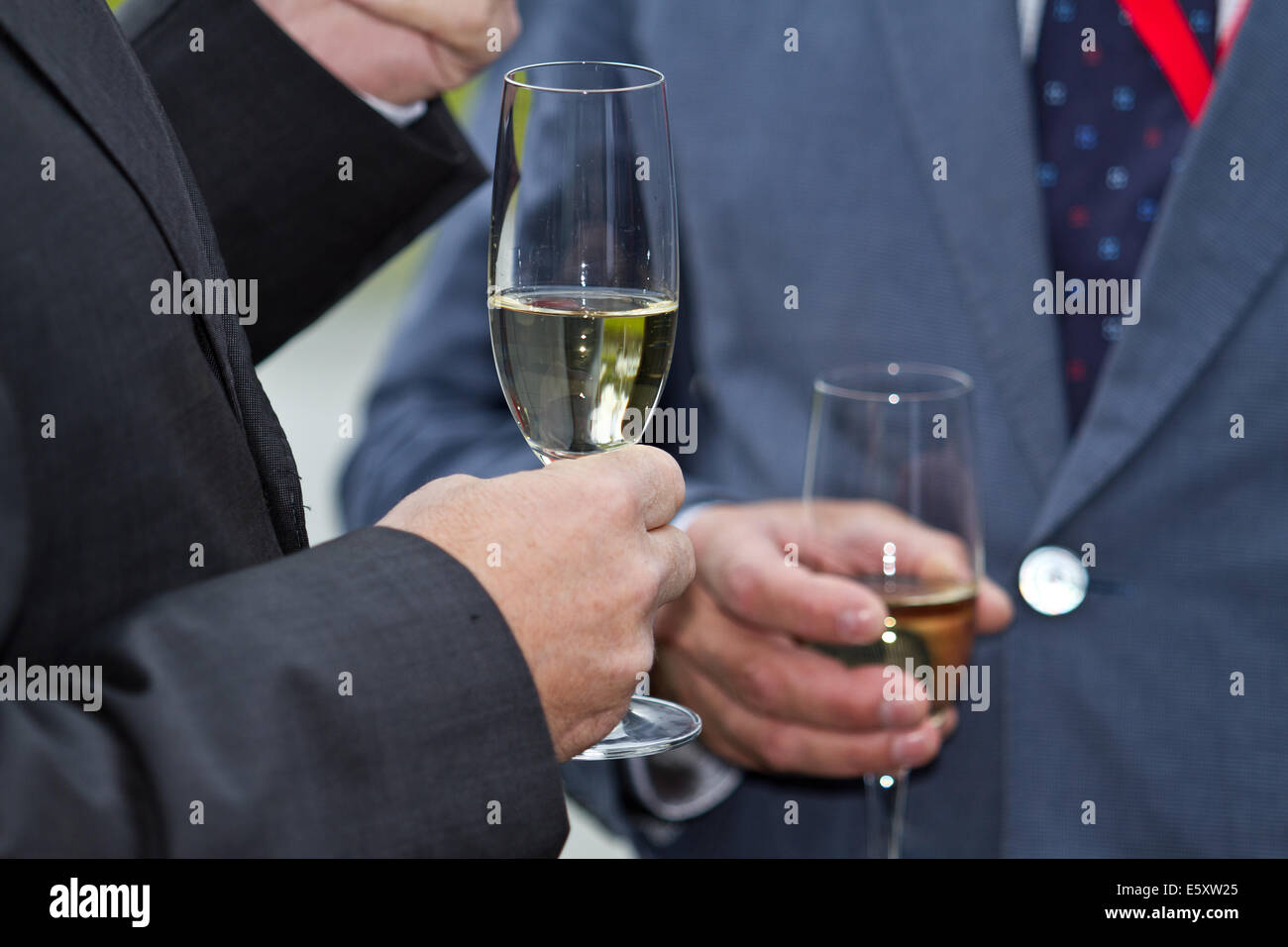 wine,hand,holding wine glass,suit,jacket,banquet,reception,bash ...