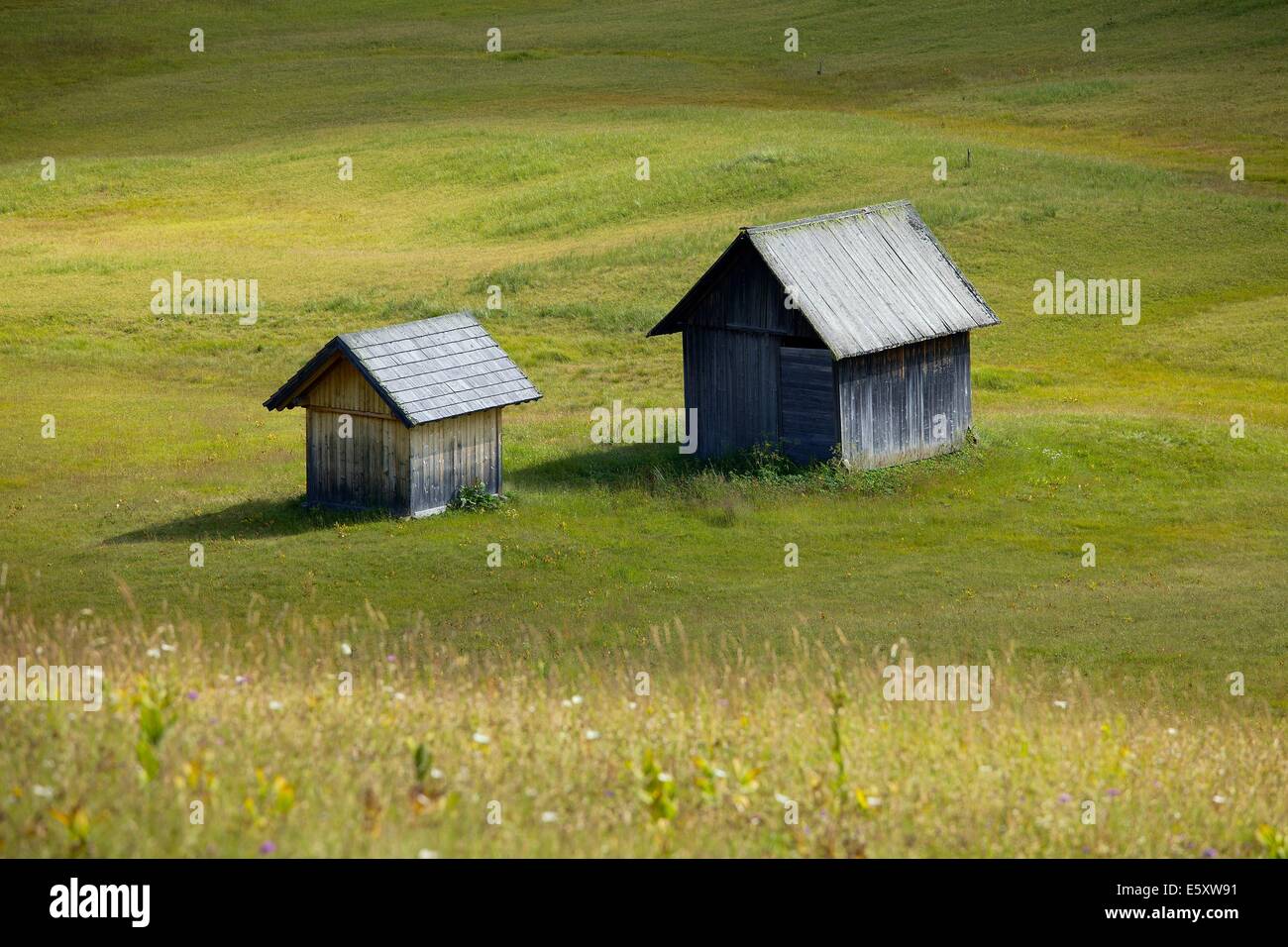 Lush alpine greenery hi-res stock photography and images - Alamy