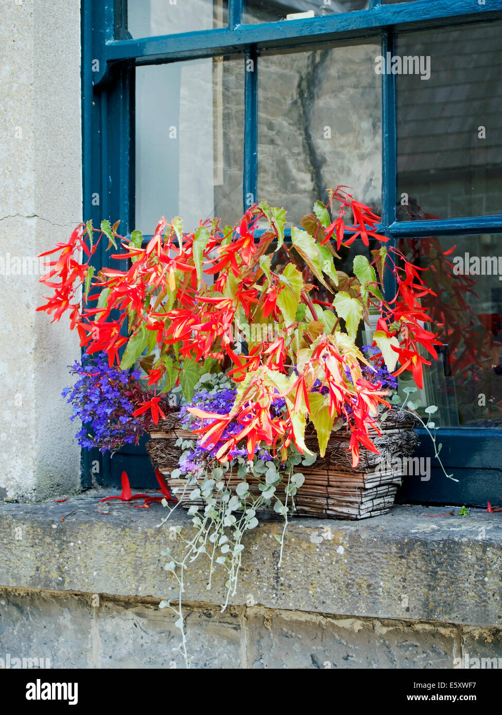 Window box flowers hi-res stock photography and images - Alamy