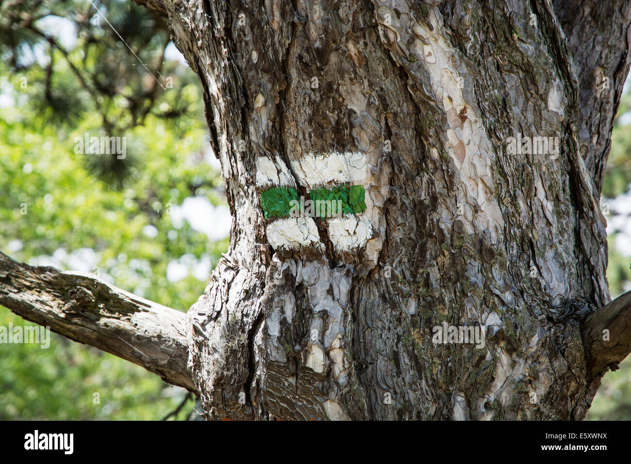 Track hike hiking sign hi-res stock photography and images - Alamy