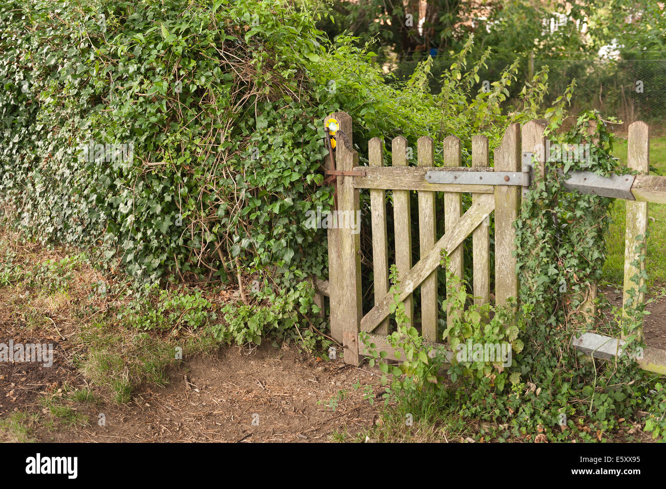 old fashioned wooden lattice oak gate partly secluded marking entrance ...