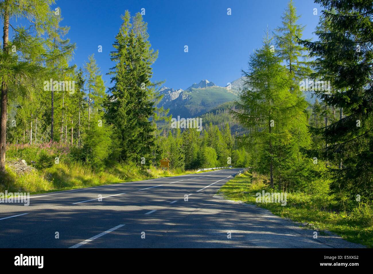 High summer landscape hi-res stock photography and images - Alamy