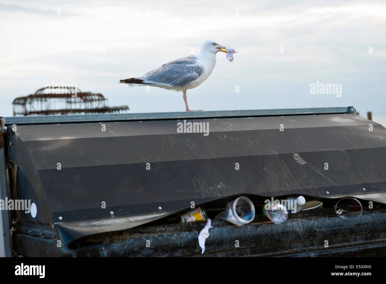 Litter bin feed me hi-res stock photography and images - Alamy