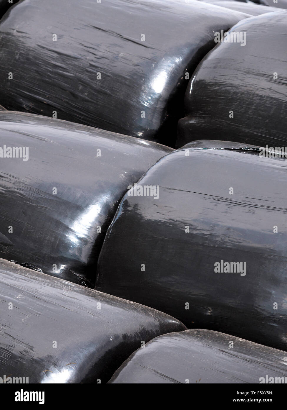 black plastic hay bales Stock Photo - Alamy