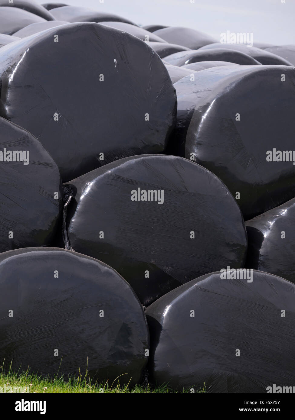 Plastic hay bales hi-res stock photography and images - Alamy