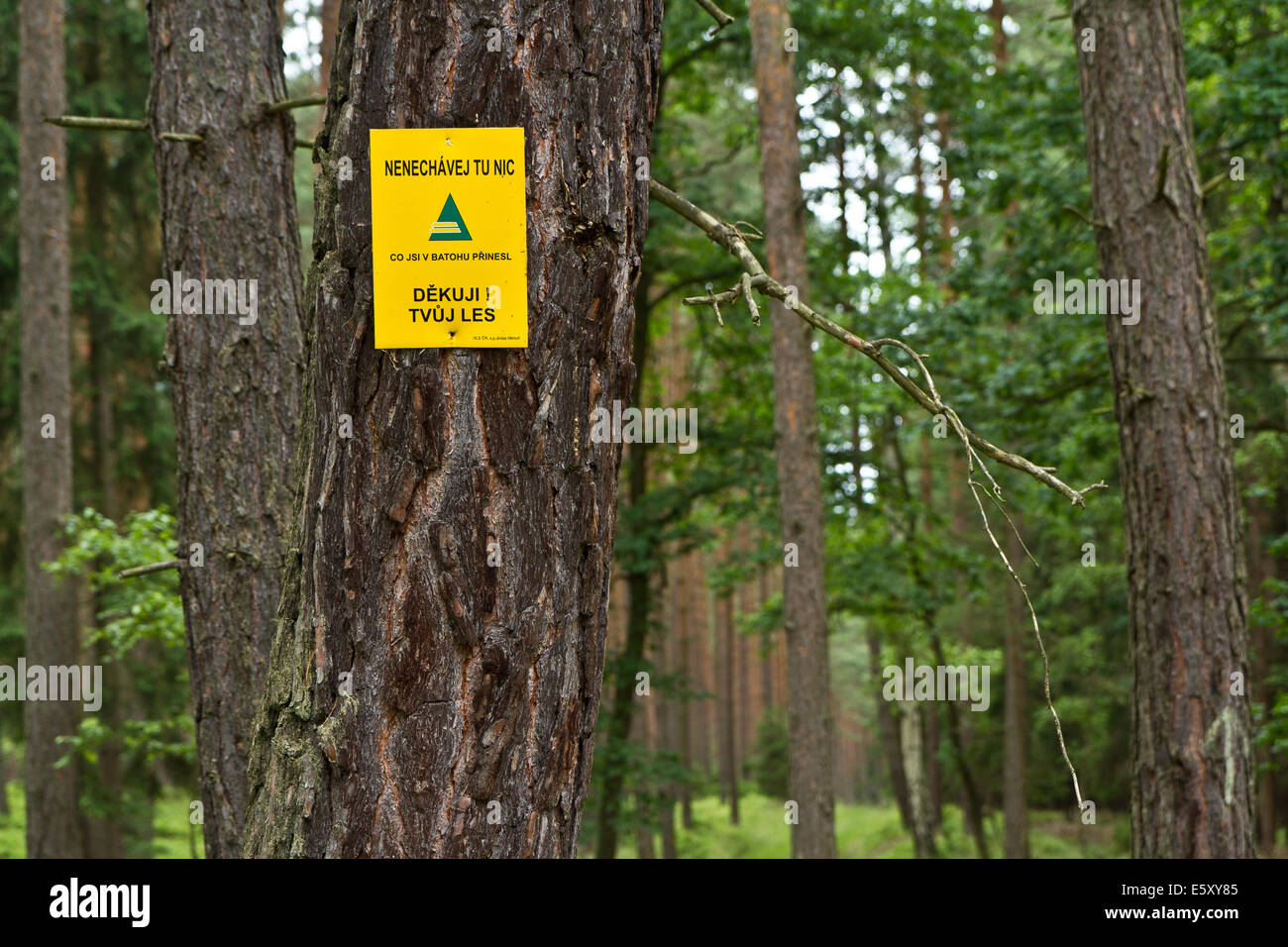 sign in the forest Stock Photo - Alamy