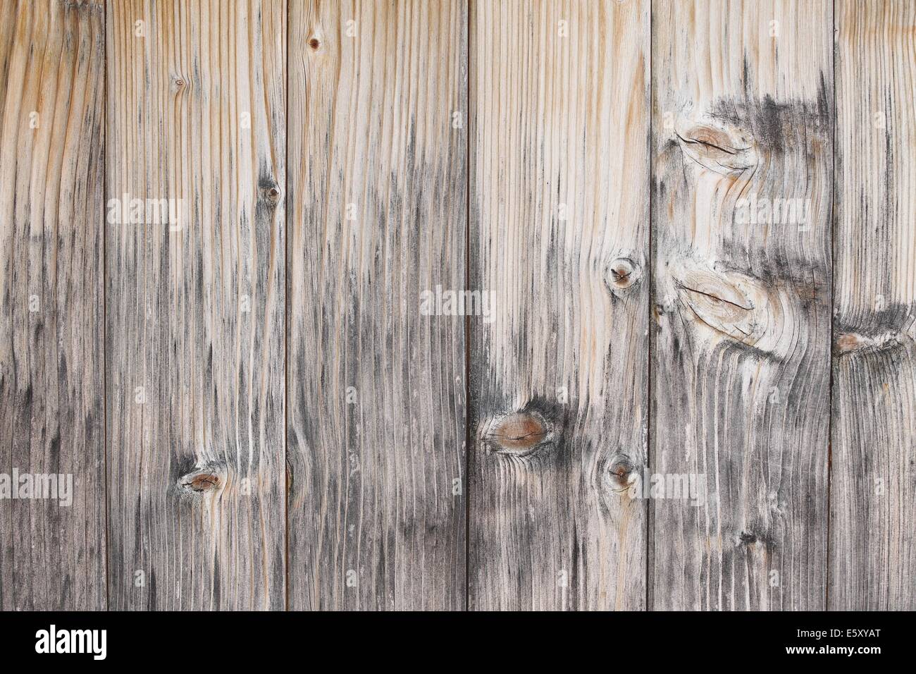 Pale wood texture hi-res stock photography and images - Alamy