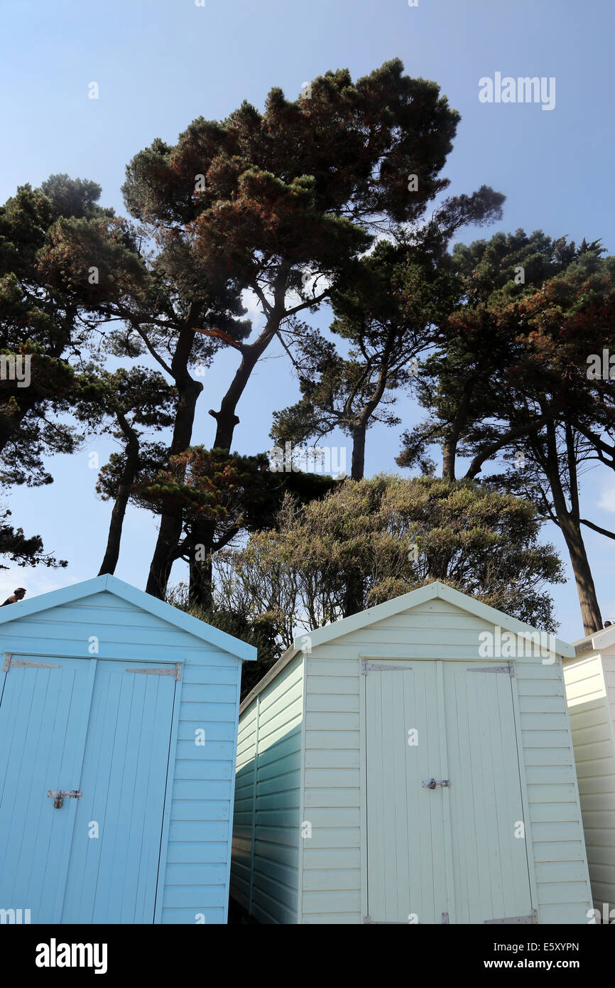 Beach Huts And Trees Avon Beach Mudeford Dorset England Stock Photo - Alamy