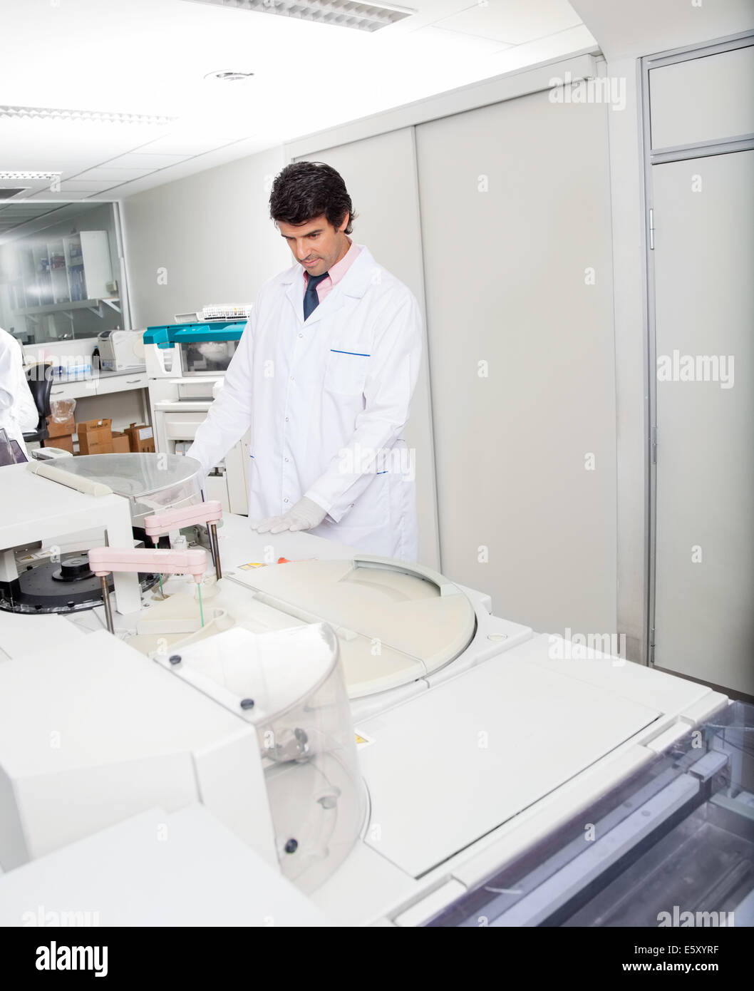 Researcher Examining Experiment Stock Photo - Alamy