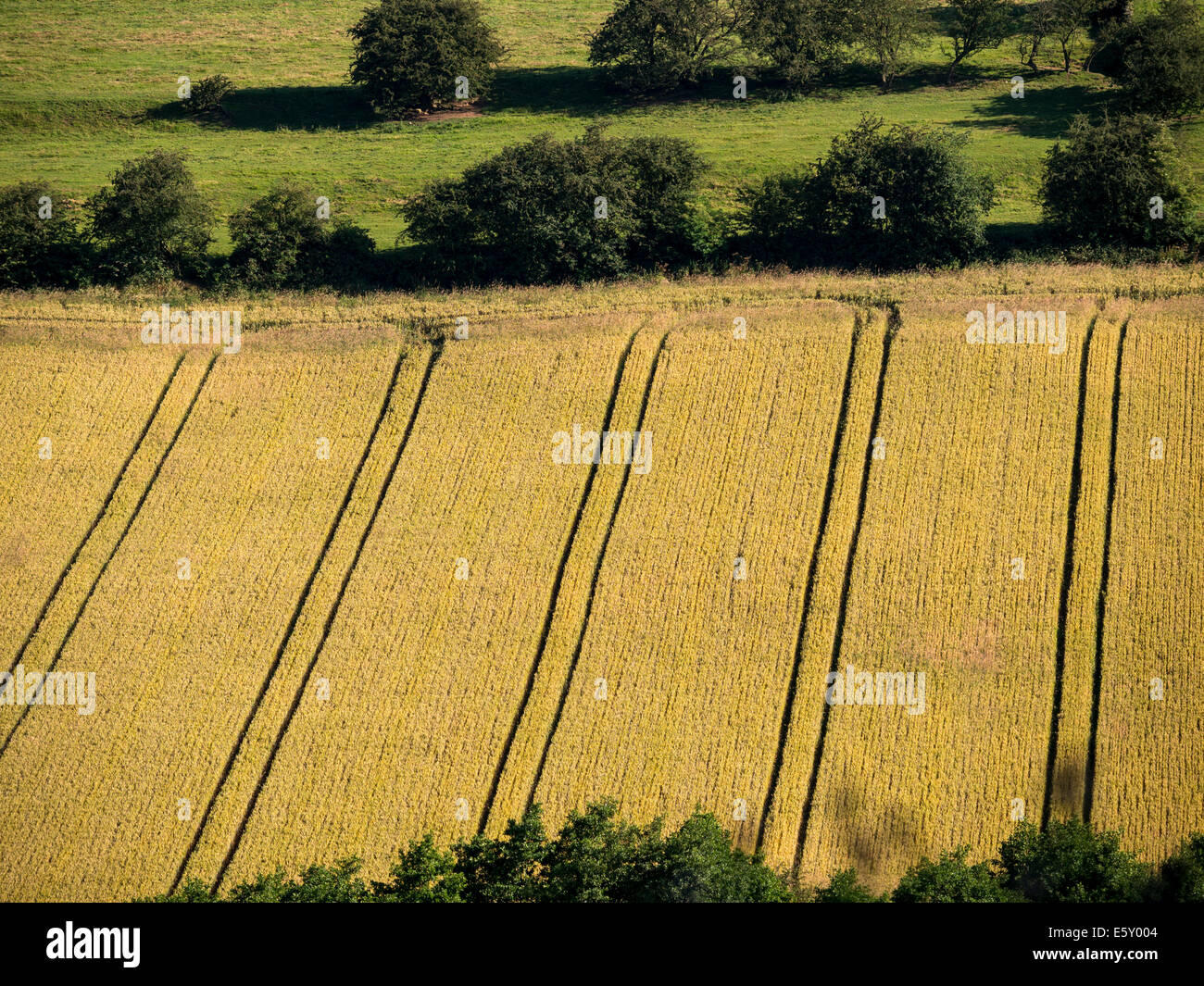 field near matlock in derbyshire uk Stock Photo - Alamy