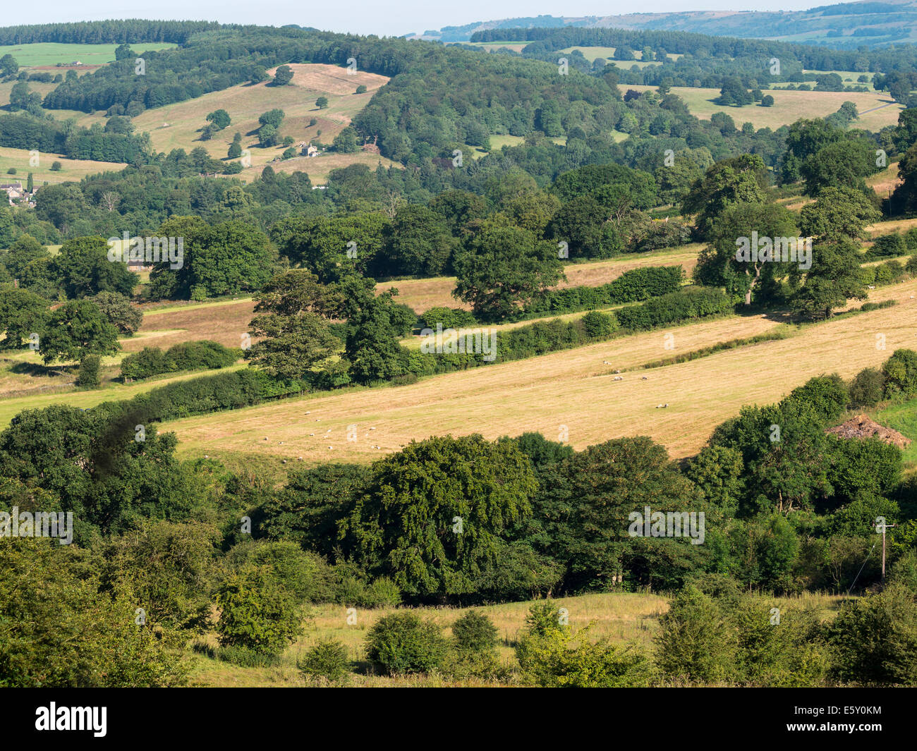 field near matlock in derbyshire uk Stock Photo - Alamy